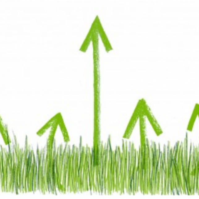 Skat, moms og afgifter | FeedsFloor